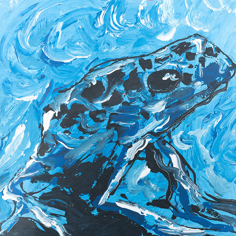 Okopipi 7, 2024 (8775) - Readytex Art Gallery